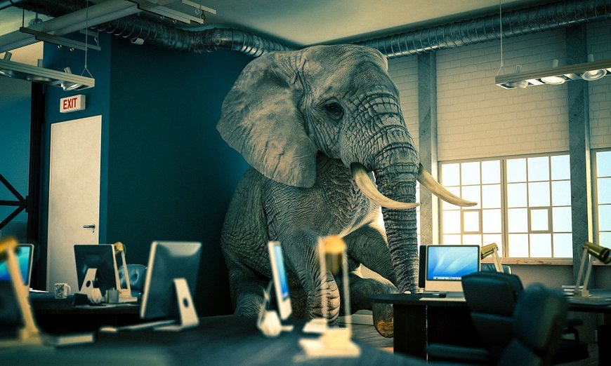 How an engineer deals with an elephant in the room | Industry EMEA